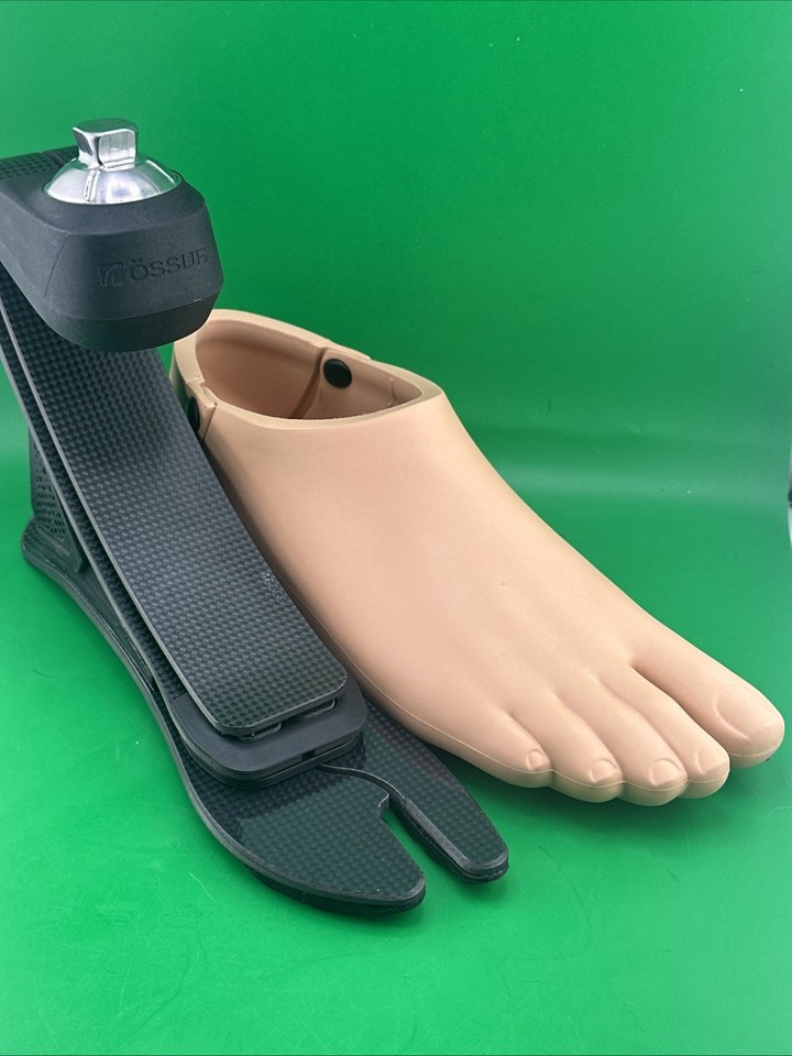 Ossur Proflex Pro-flex Terra Prosthetic Foot. Size 28. Category 5 ...