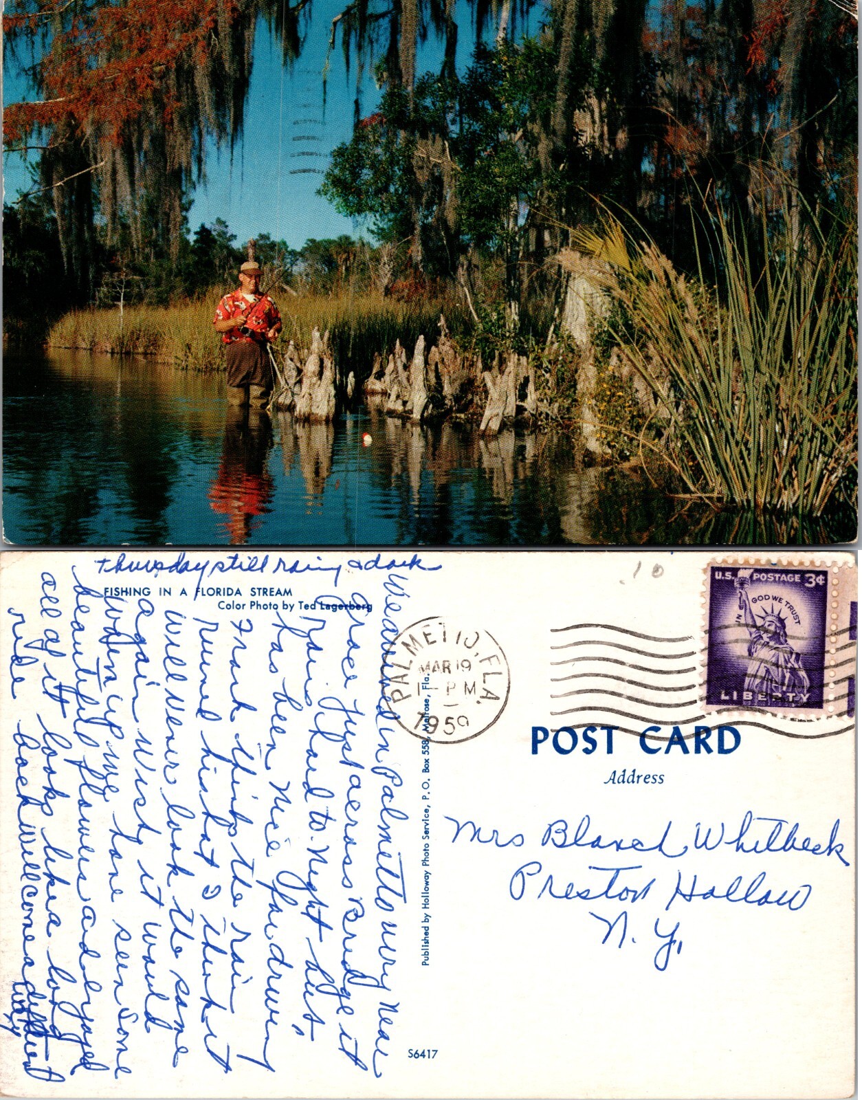 Man Fishing in Mossy Stream Florida Cypress Swamp Postcard | eBay UK