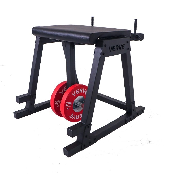 Verve Reverse Hyperextension Machine Heavy Duty Commercial Grade Gym | eBay