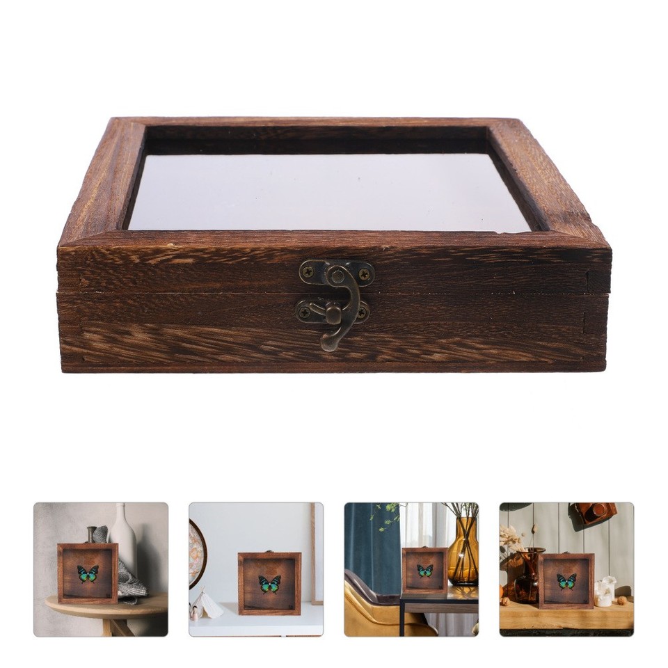 Insect Display Case Box Specimen Observer Cases for Collectibles | eBay UK