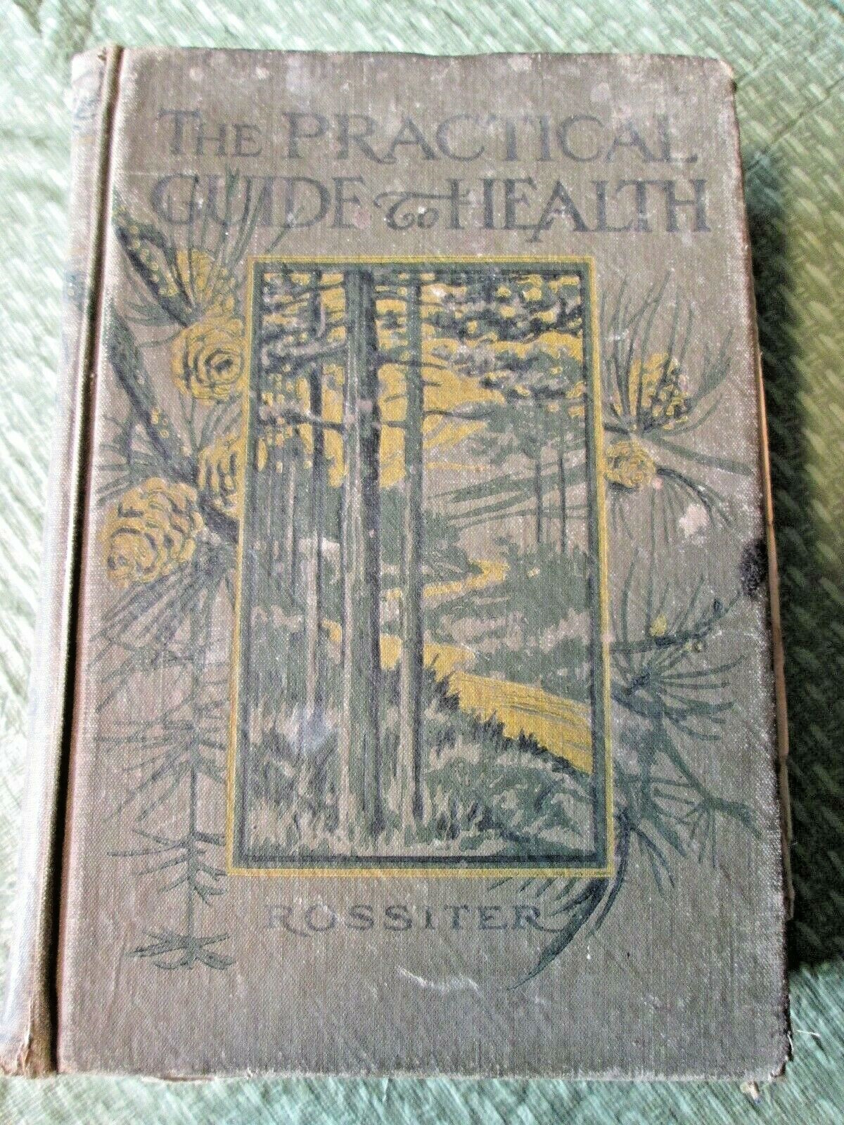 Antique 1913 ed. The Practical Guide to Health Book HB Rossiter 670 pp ...