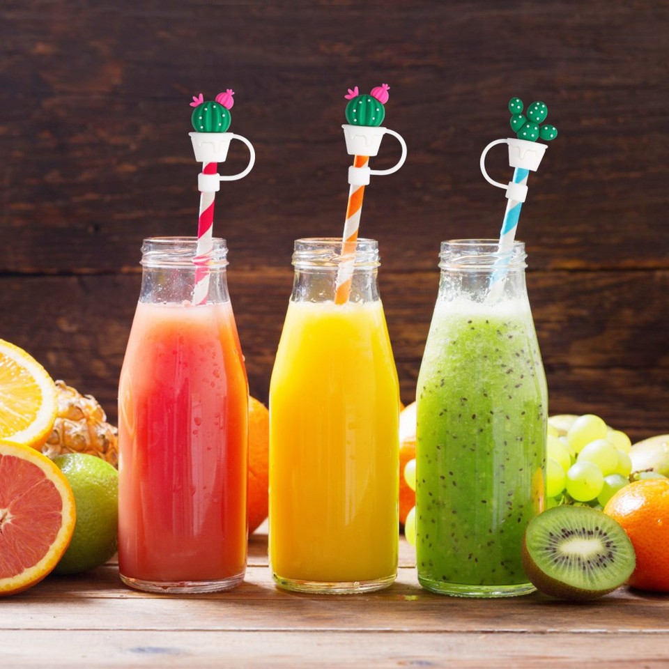 4 Pcs Straw Cover Cap Caps for Cacti Cactus Protector | eBay UK