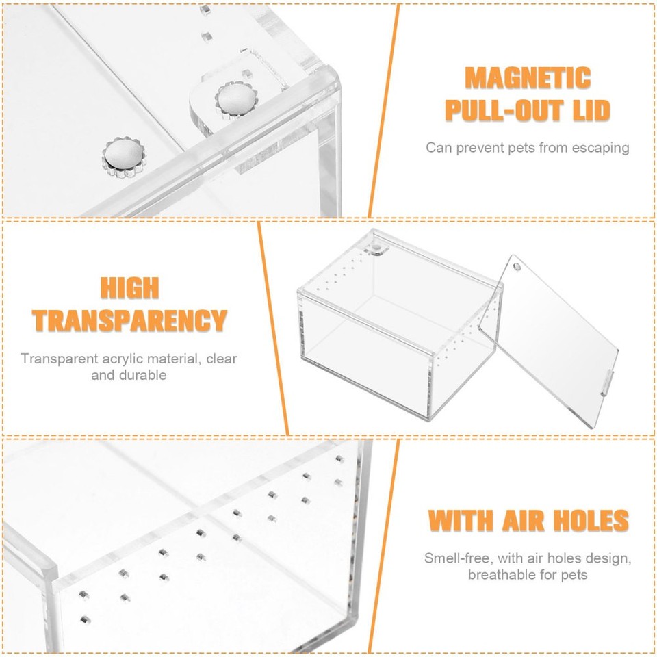 Set of 2 Leak-proof Pet Crawling Box Baby Travel Spider Terrariums | eBay