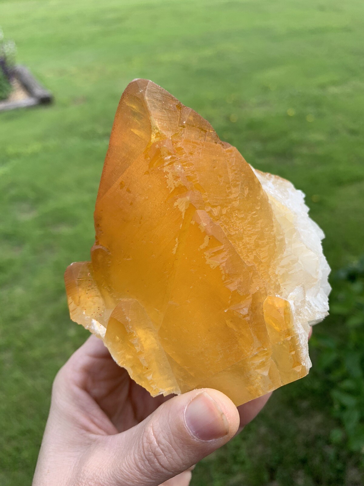 Golden Calcite with Chalcopyrite Inclusions from Black Rock, Arkansas ...