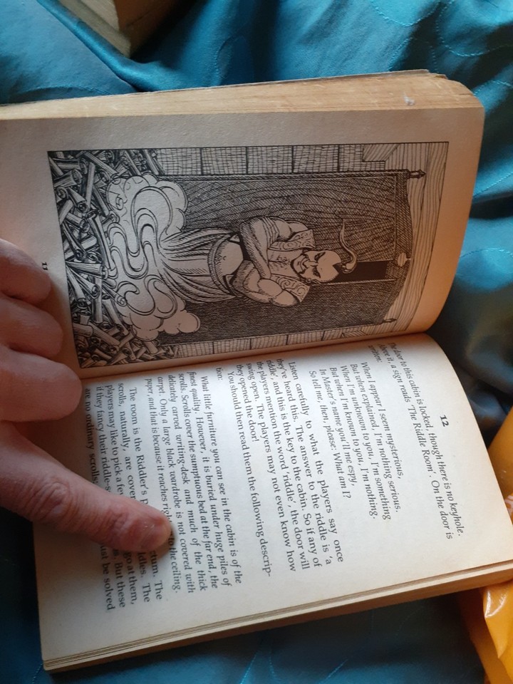 THE RIDDLING REAVER - Steve Jackson's legendary Fighting Fantasy Book ...