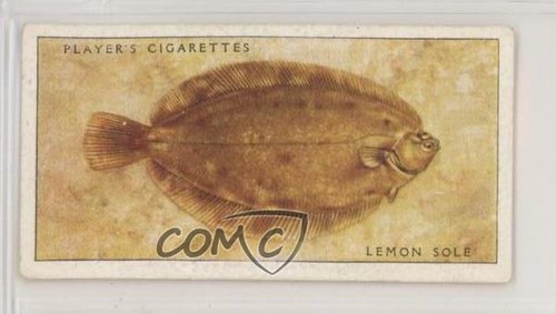 1935 Player's Sea Fishes Lemon Sole #47 z6d | eBay