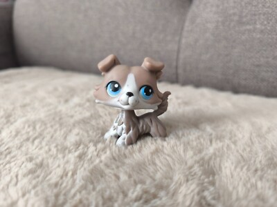 LPS #67 PETSHOP AUTHENTIQUE CHIEN COLLEY DOG COLLIE HASBRO | eBay