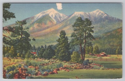 Postcard San Francisco Peaks Flagstaff Arizona | eBay