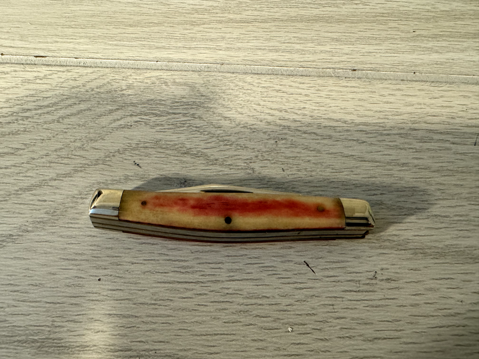 Case XX USA 10 Dot Red Appaloosa Smooth Bone 2 Blade Jack Knife SR 6244 ...