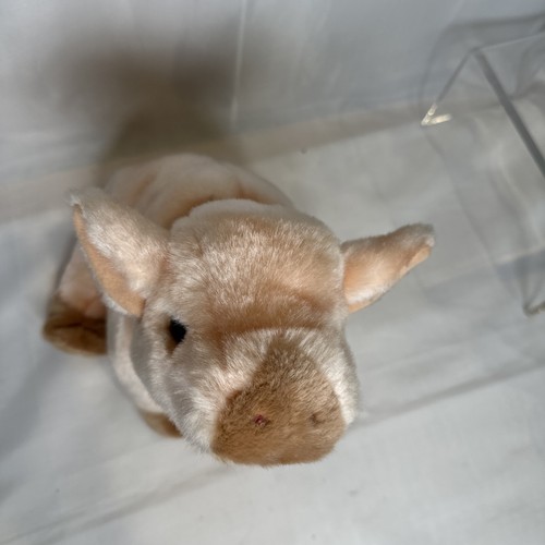 Ty Beanie Buddies KNUCKLES Pig Hog Blue Ribbon Stuffed Plush 12" 2002 ...