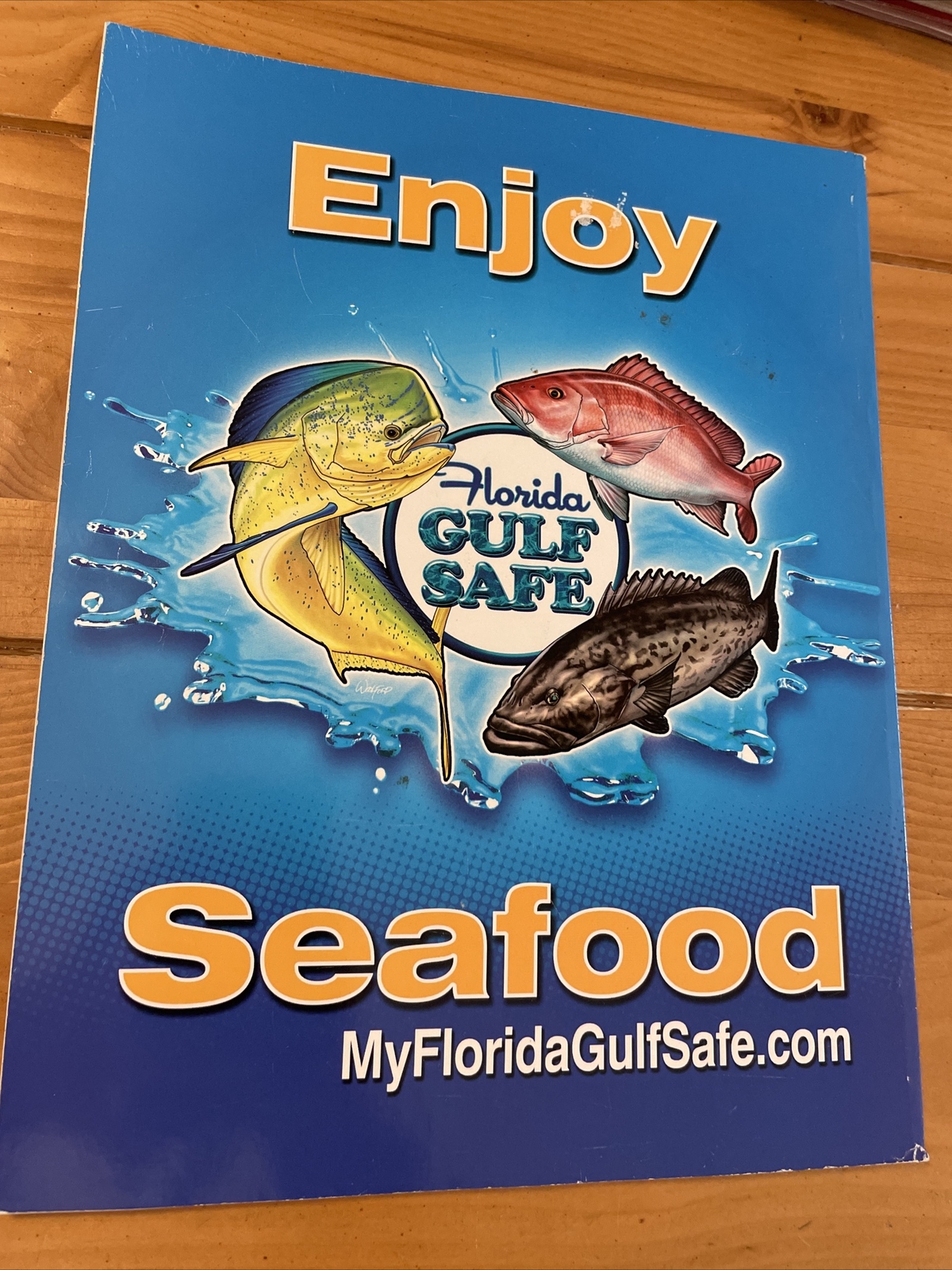 Alabama Crimson Tide Football Vs Florida Gators Game Day Program, Oct 1 ...