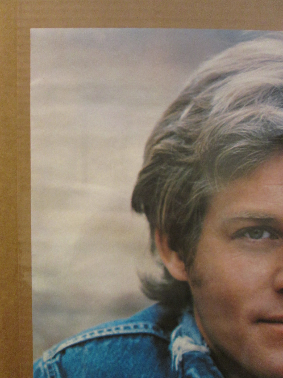 Vintage 1981 Brian Kerwin original actor poster 9985 | eBay