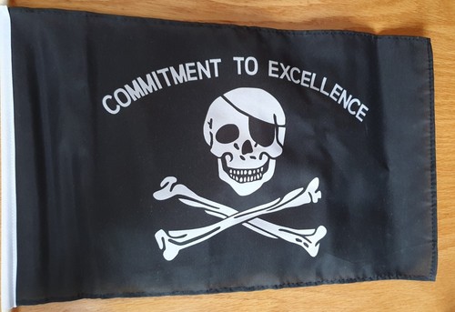 Pirate Excellence Flag 18 x 12" Kids Room Treehouse Den Youth Club ...