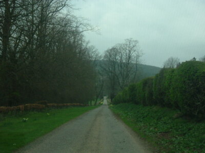 Photo 6x4 The driveway to Finzean House c2006 | eBay UK