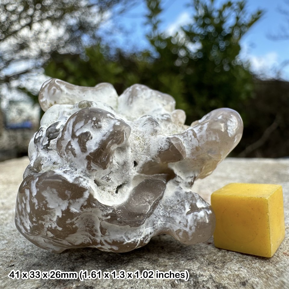 Polished snakeskin agate - genuine spiritual healing crystal stone | eBay