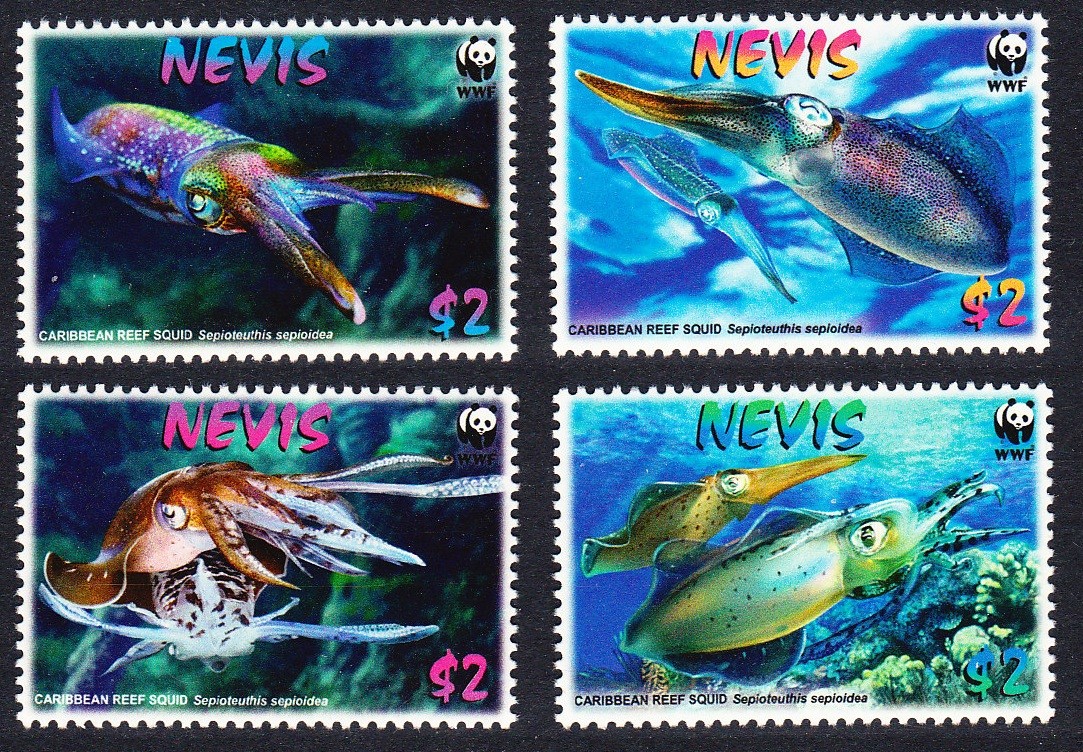 Caribbean Reef Squid 4v Nevis 2009 MNH SG#2155-2158 MI#2380-2383 Sc ...