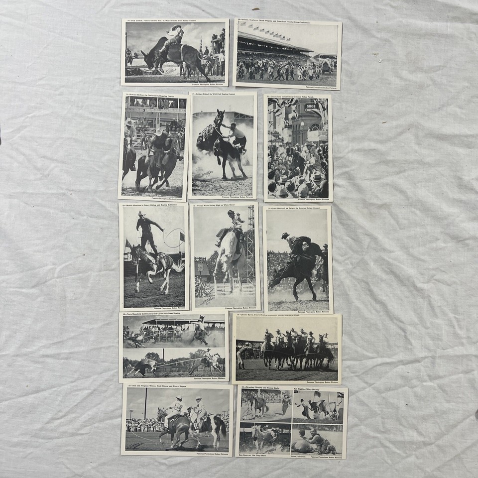Vintage Rodeo Postcards | eBay