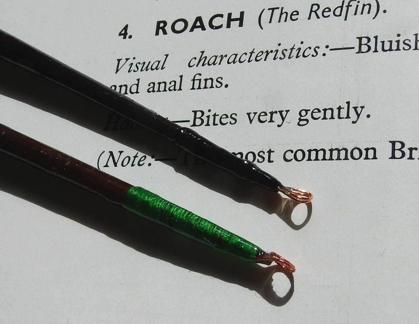 TWO MEDIUM-SIZED PORCUPINE QUILL (YELLOW/GREEN) FLOATS | eBay UK