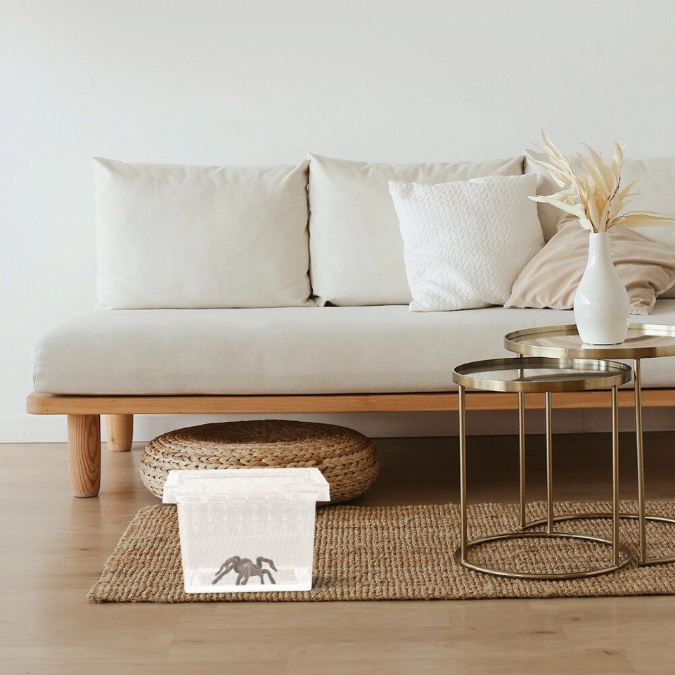 Reptile Storage Case Leopard Gecko Dig Box Reptile Subscription Box | eBay