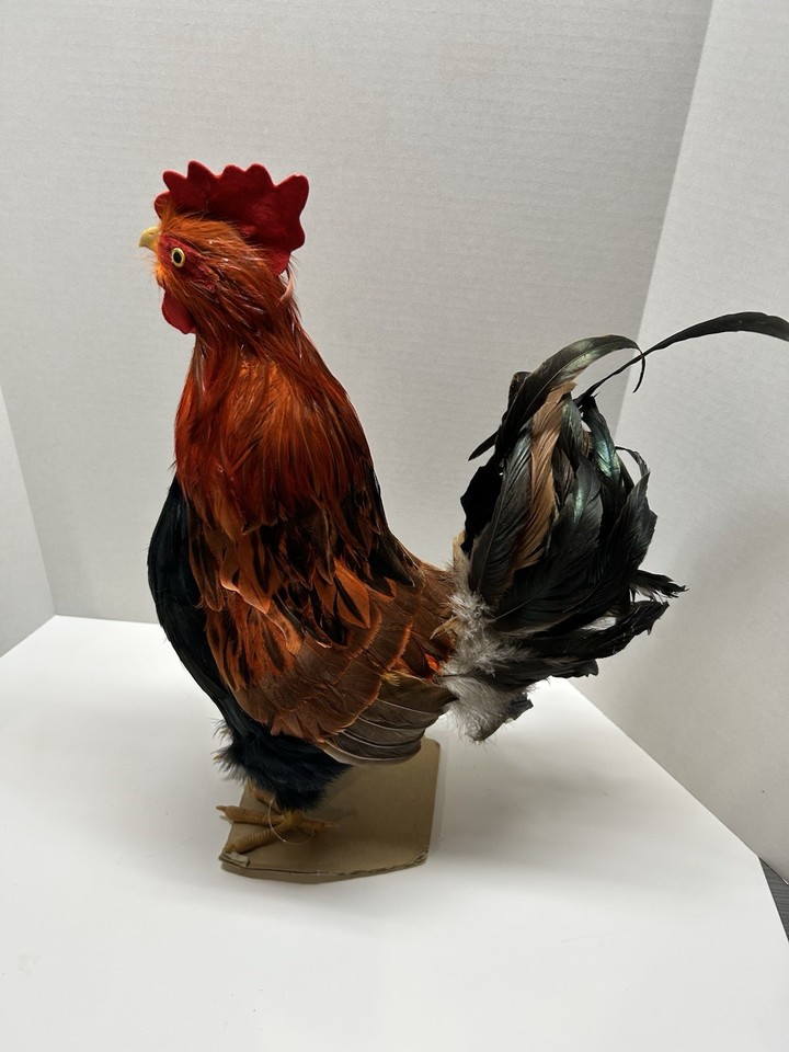 Realistic Feathered Rooster Chicken Decor LARGE 18"x10" FARMHOUSE Real ...