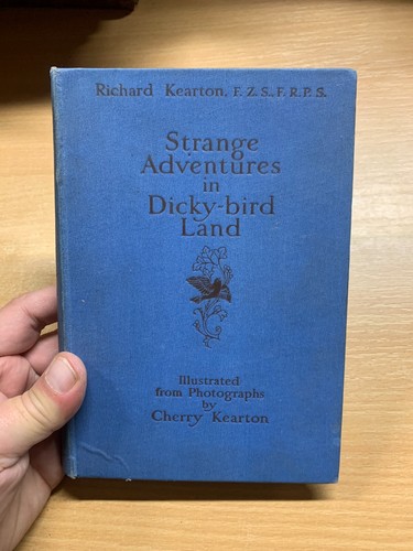 1922 R KEARTON STRANGE ADVENTURES IN DICKY BIRD LAND FICTION HARDBACK ...