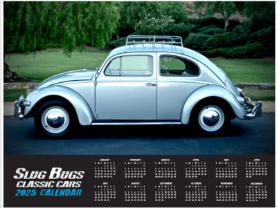 2025 SLUG BUGS DELUXE WALL CALENDAR micro oval beetle bus bug vw ...