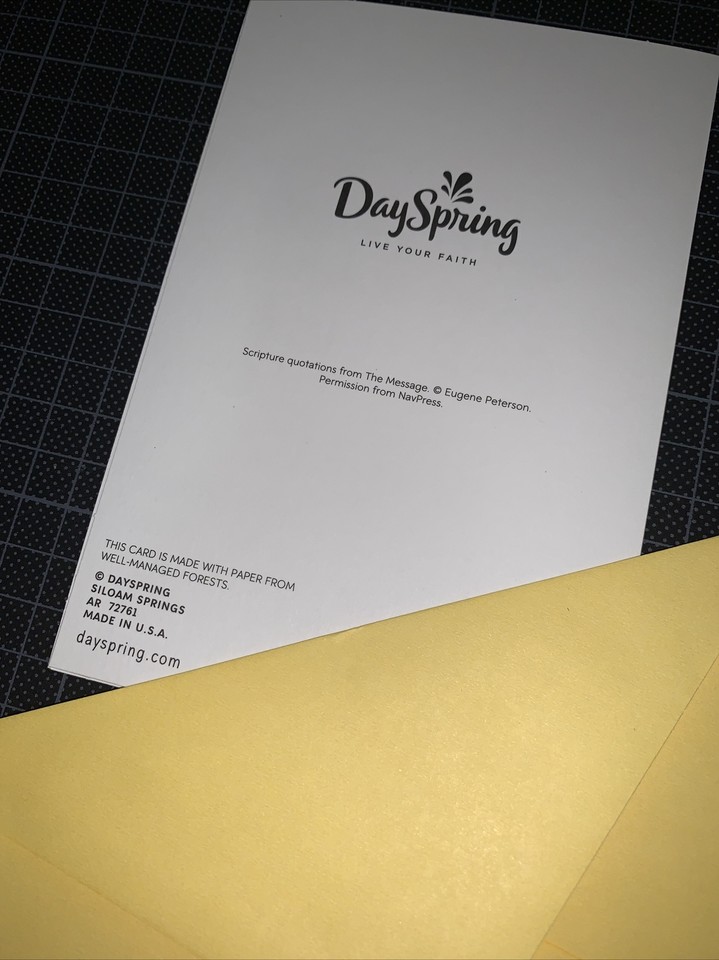 Hallmark DaySpring Easter Card: Jesus Risen Lord Forgiven Blessings ...