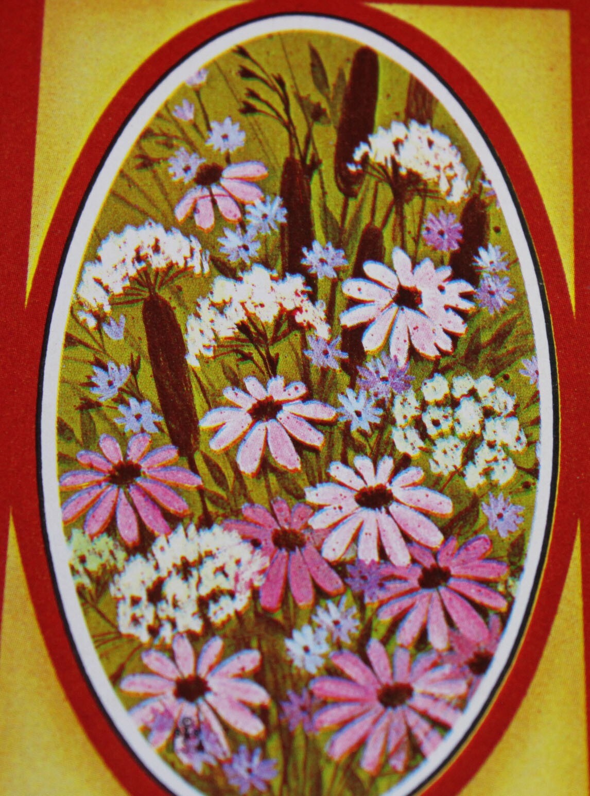Vtg Kent Deck of Cards Retro Wildflowers Whitman Case 60s-70s Game ...