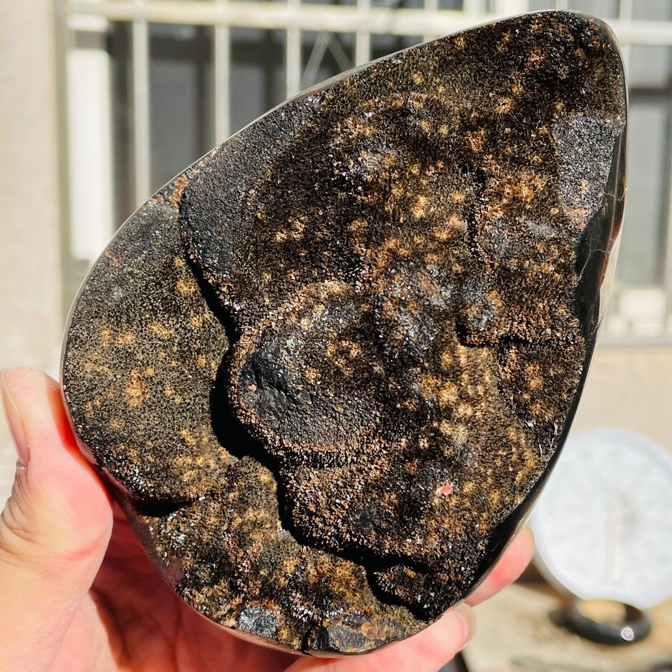 1174g Large Natural Dragon Septarian Septarium Crystal Egg Geodes ...