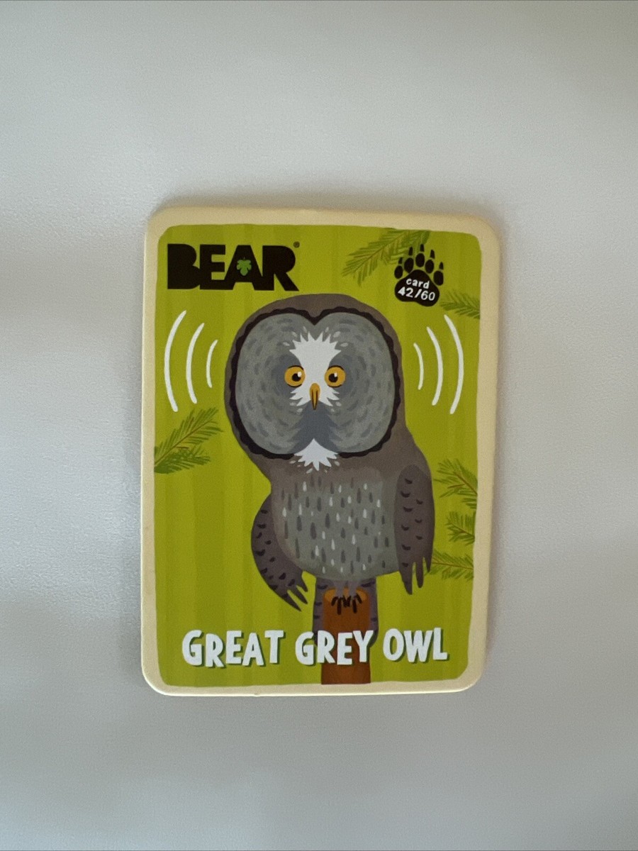 Animal Trading Card Template Arctic Animals Trading Cards And Report