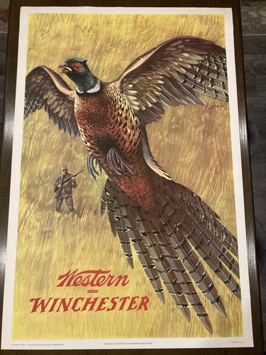 Original 1955 Western Winchester Pheasant Lithograph Poster Olin ...