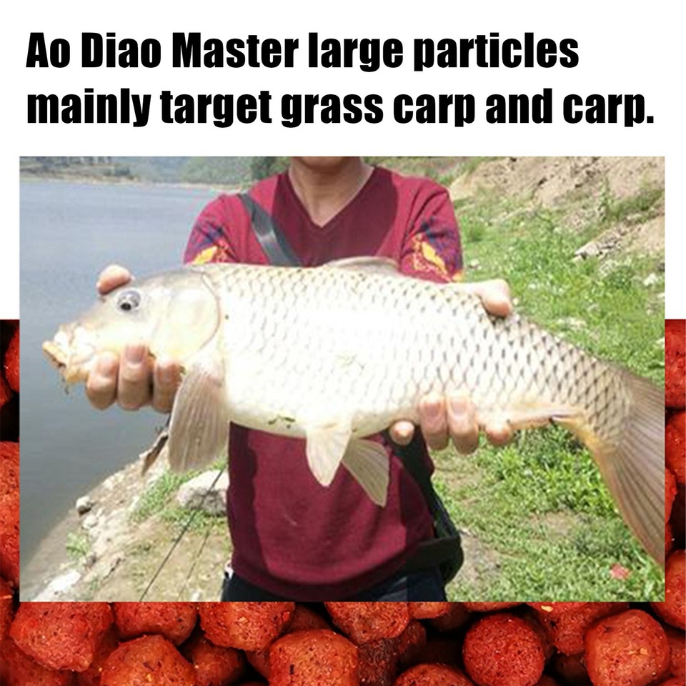 Hook Carp Feed Bite Fish Attractant Meal Food Soft Bait For Grass Tilapia Carp | eBay