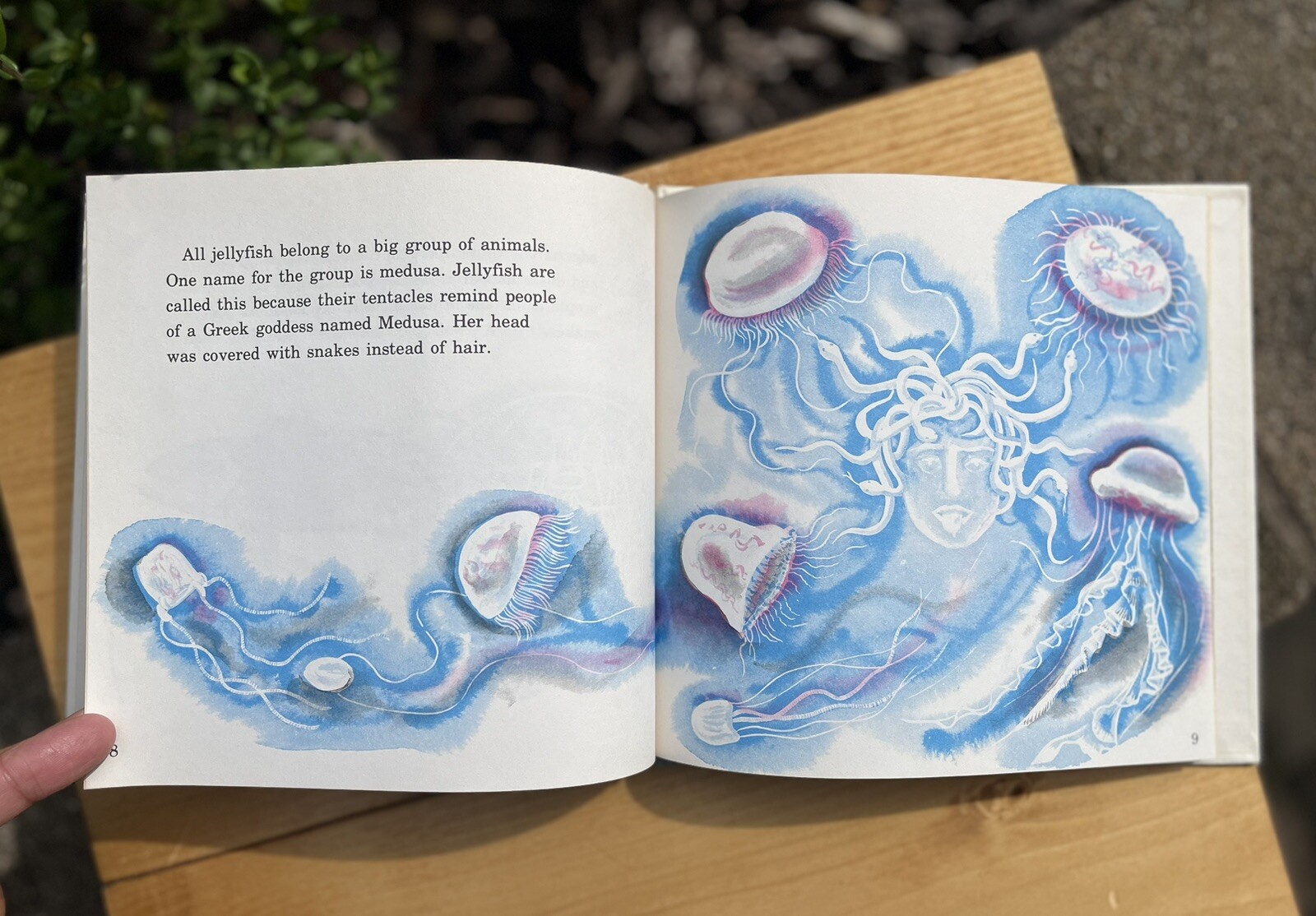 A JELLYFISH IS NOT A FISH (1979) John Waters Mizumura Hardcover ...