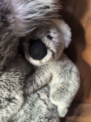 SOS Save our Space Koala Bear and Baby Plush Magnussen Home 17" Stuffed ...