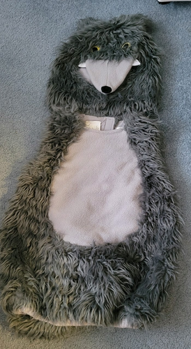 Pottery Barn Kids Halloween Wolf costume 2t - 3T | eBay