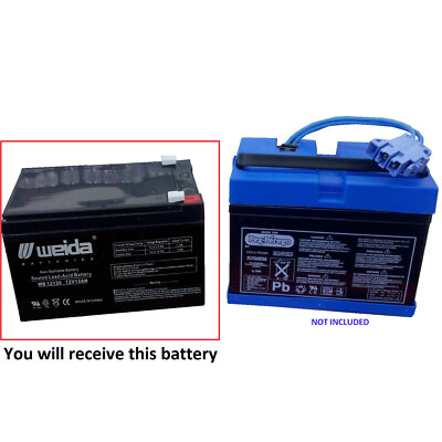 Peg Perego 12 Volt Replacement Battery Kit IAKB0501 | eBay