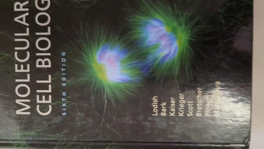 Molecular Cell Biology: Sixth Edition by Harvey Lodish – Used Textbook, 2007 | eBay