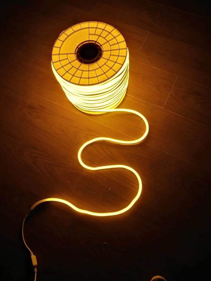 100ft LED Flex Neon Rope Light Strip Building Wedding Garden Sign Decor ...
