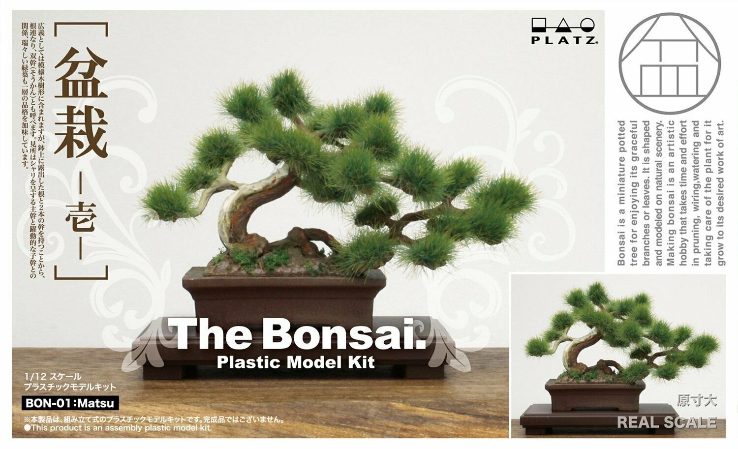 New PLATZ 1/12 Scale The BONSAI Ichi Plastic Model Kit BON-01 MATSU ...