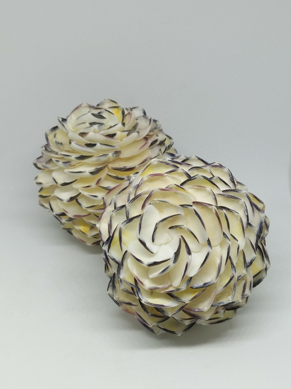 2 x black/white rose shell balls. Seashell home coastal art table ...