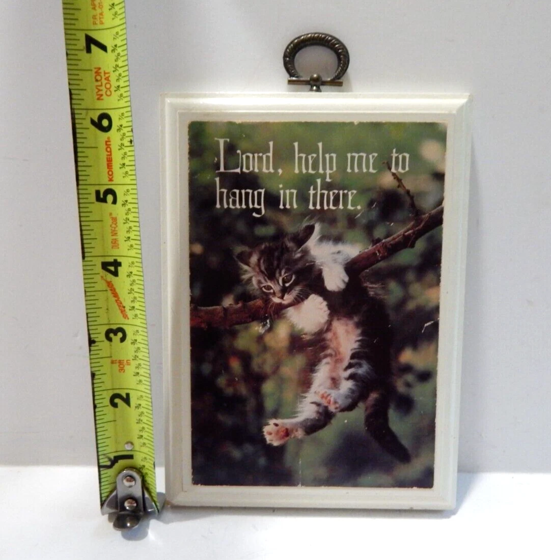 Hang In There Kitten