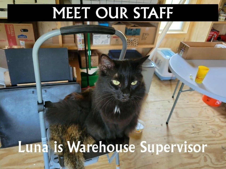 SUPERFLY (Blu-ray) Director X, Alex Tse, Trevor Jackson, Jason Mitchell ...