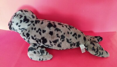 Large Spotted Seal Pup | eBay