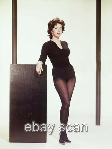 MARLA ENGLISH LEGGY CHEESECAKE LEOTARDS 8X10 PHOTO 46 | eBay