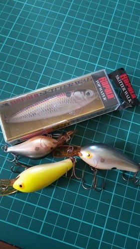 Rapala Lure Set Of 4 | eBay