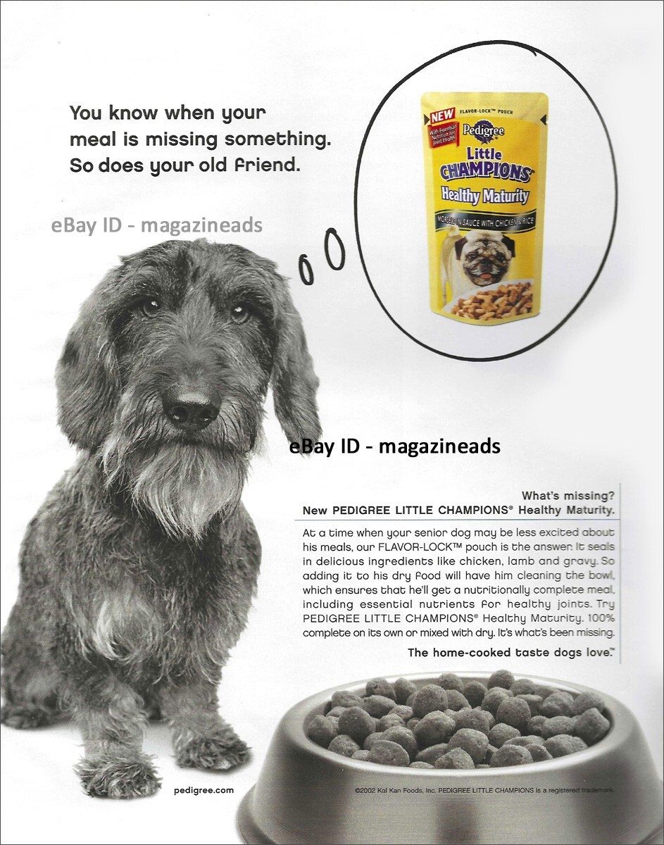 PEDIGREE 1-Page MAGAZINE PRINT AD 2002 WIRE HAIRED DACHSHUND cute ...