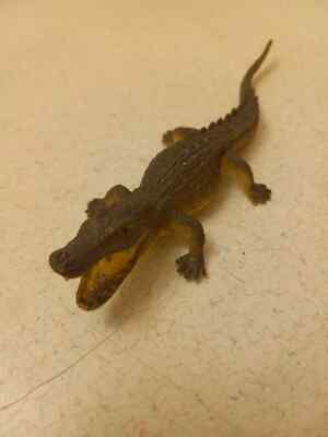 Limited Edition - Outback Steakhouse Crocktail Crocodile NEW | eBay