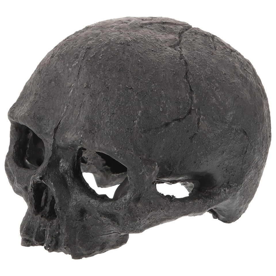 Human Skull Resin Reptile House Fish Tank Skull Ornament Fish Tank ...