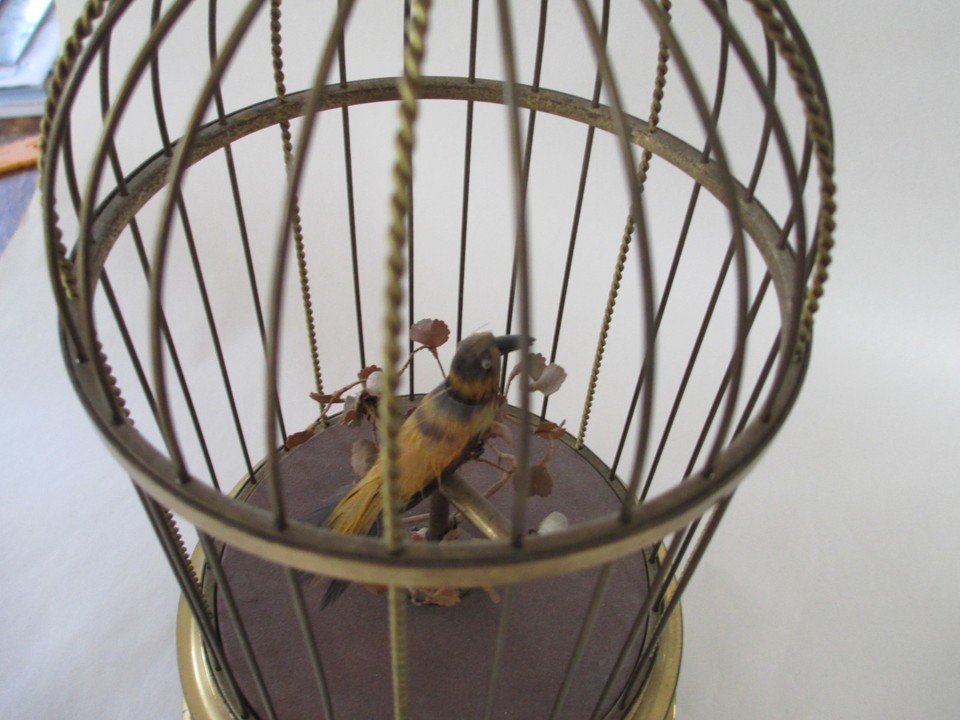 Vintage German Bird in Cage Music Box (w/video) | eBay
