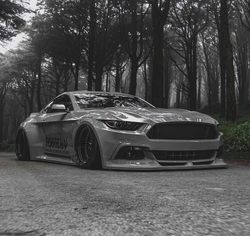 SHIROKAI Ford Mustang S550 (2015-2017) Widebody kit | eBay